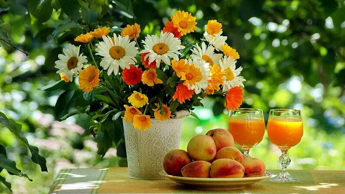 Приветливый день