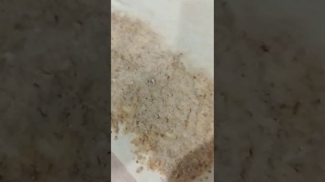 Яблочный штрудель #япыталась