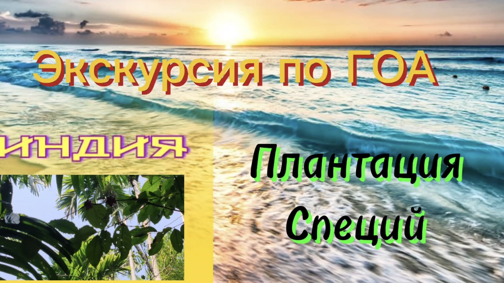 Индия ГОА 2025. Плантация специй. Экскурсии по ГОА