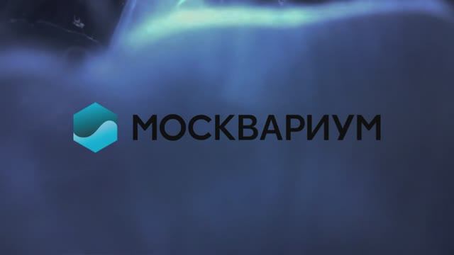 Москвариум