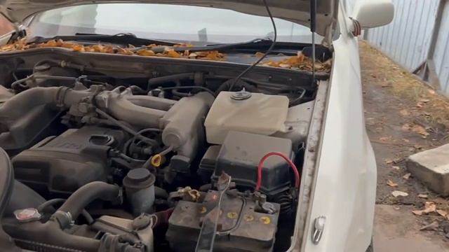 тайота Креста возрождения