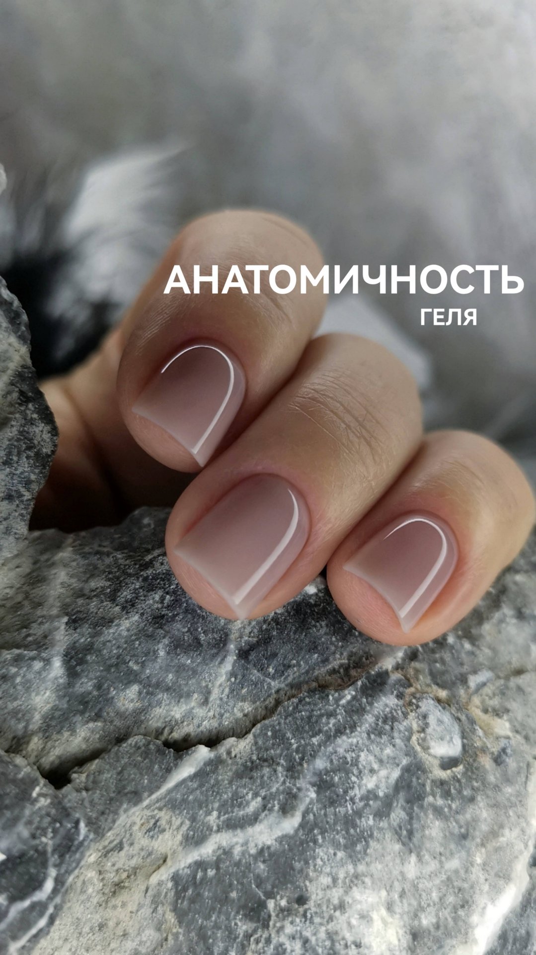 Что такое анатомичность геля Anatomic.
