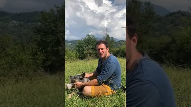 Отзыв Алексея Митрофанова