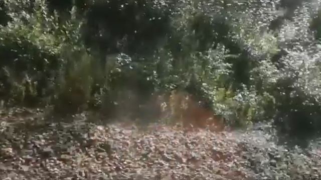 Проездом у Байкала 👀