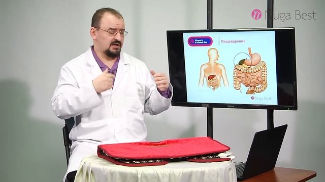 Турманиевая накидка МНР100. Пищеварительная система. Доктор Голод.