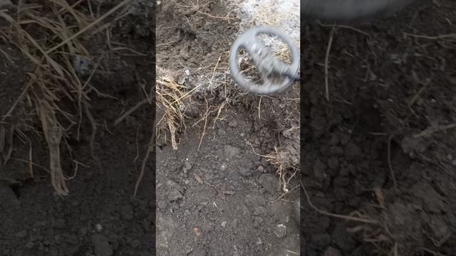 шурф поляны у старинного завода  часть 5 (день креста)