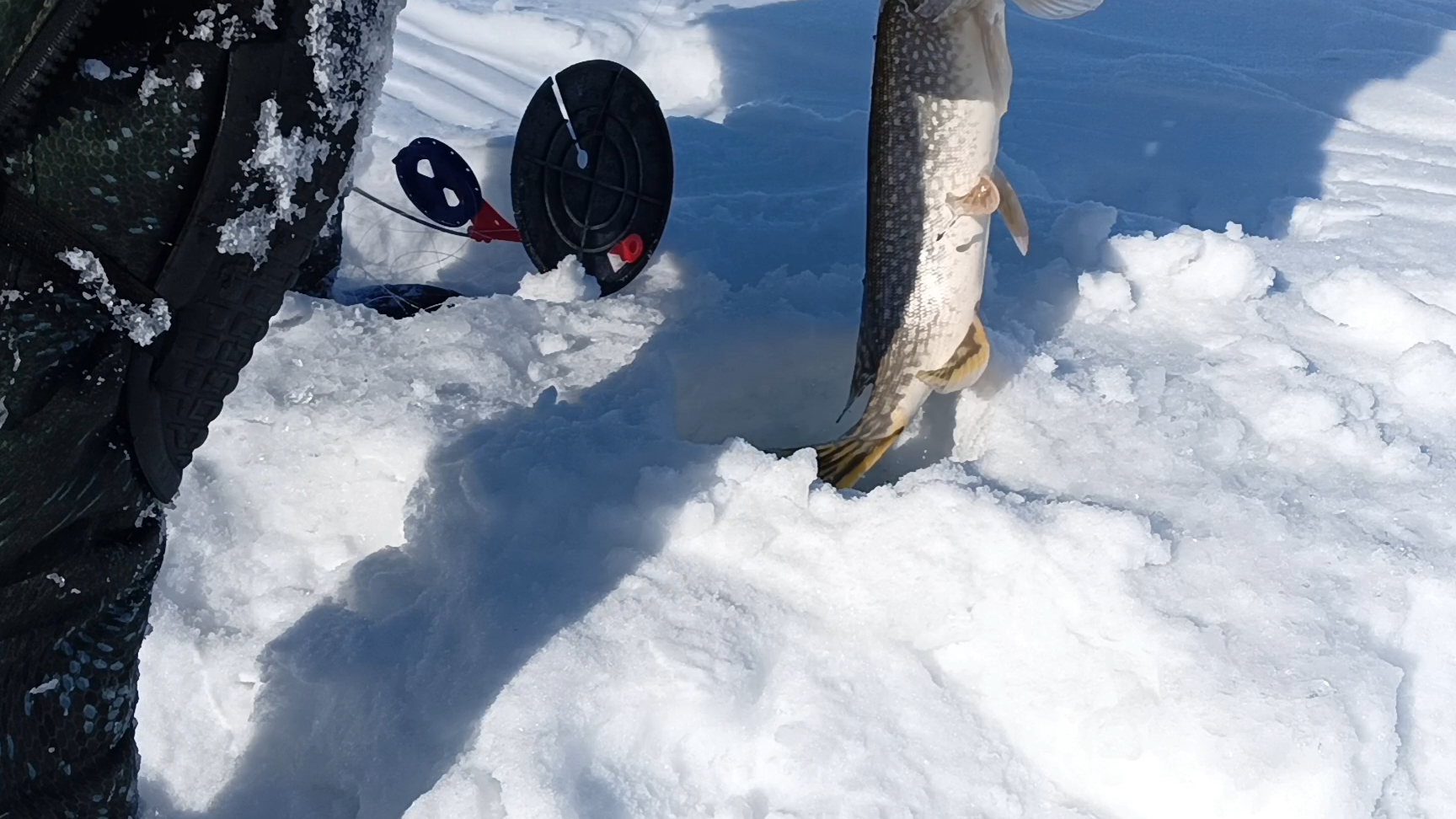 Рыбалка на жерлицы, щуки в феврале.
