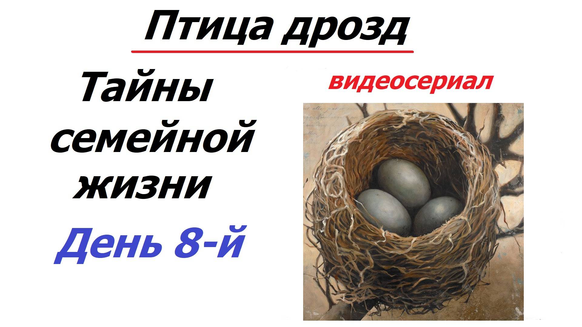 История одной птичьей семьи. День 8-й. Сериал