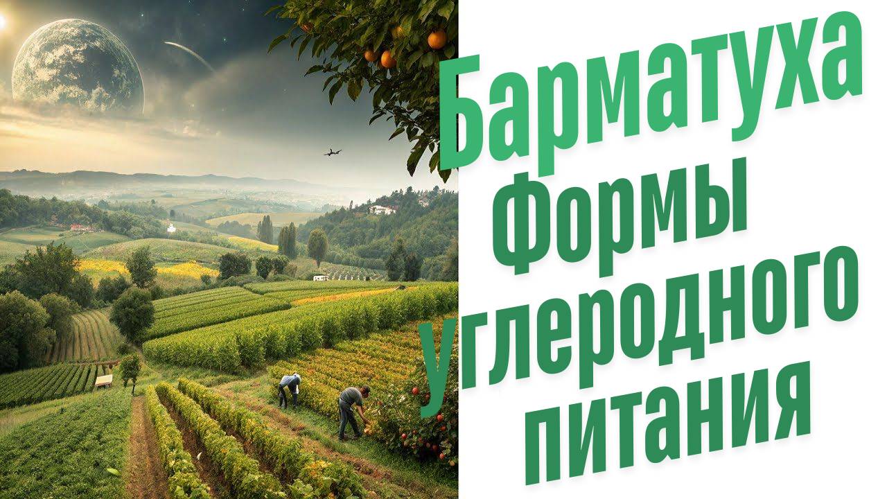 Форма питания растений.