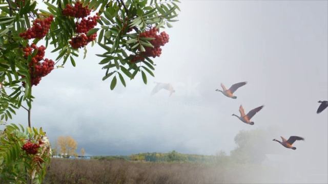 "Вернусь" Юрий Старцев