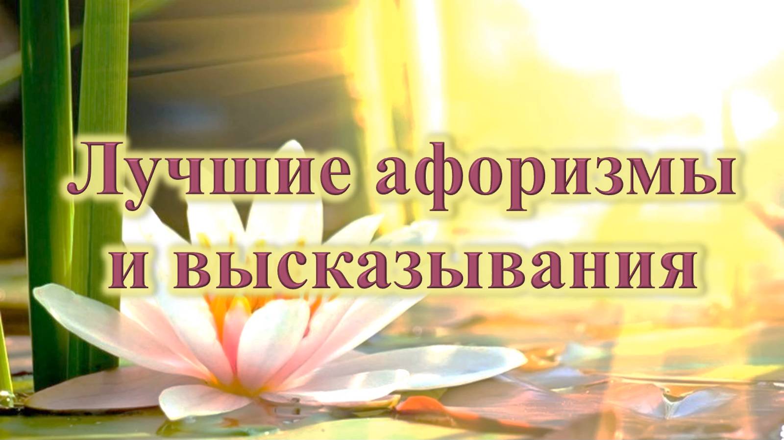 📚🖊️ 1. Афоризмы. Высказывания достойные внимания.