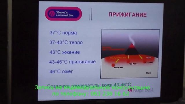 Доктор Голод Об атеросклерозе
