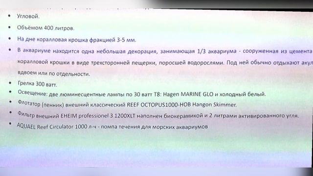 Коричневополосая кошачья акула. Опыт содержания в условиях Эколого-биологического центра «Крестовски