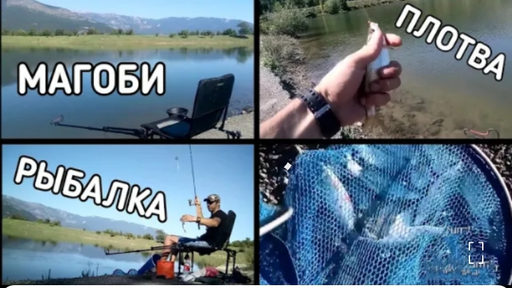 Ловля крупной плотвы на фидер. Магоби рыбалка. Ялта.