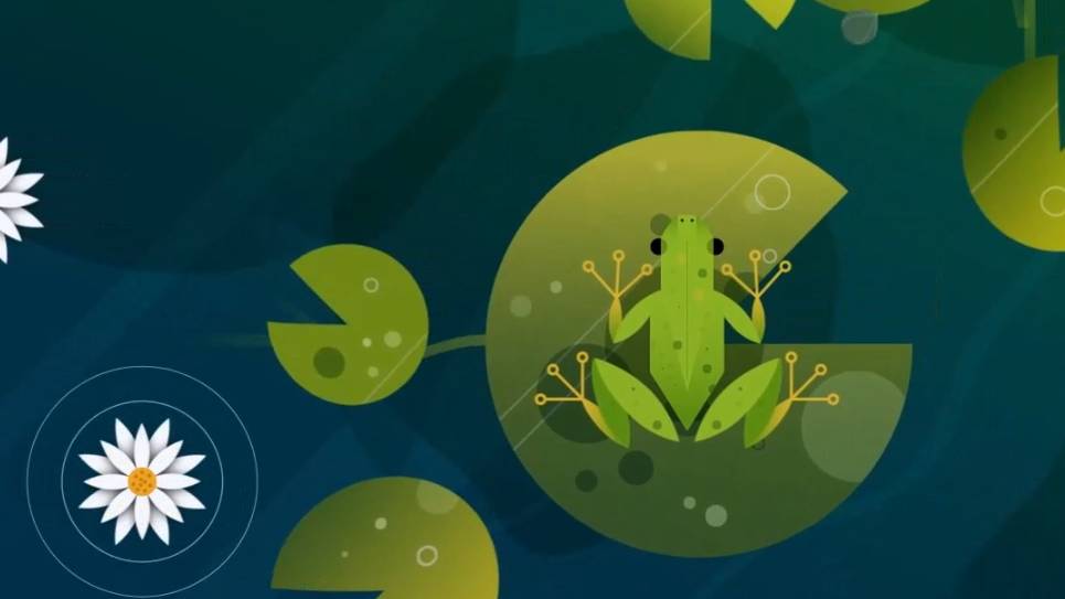 ITMO/MOTION. Adobe After Effects. Frog
