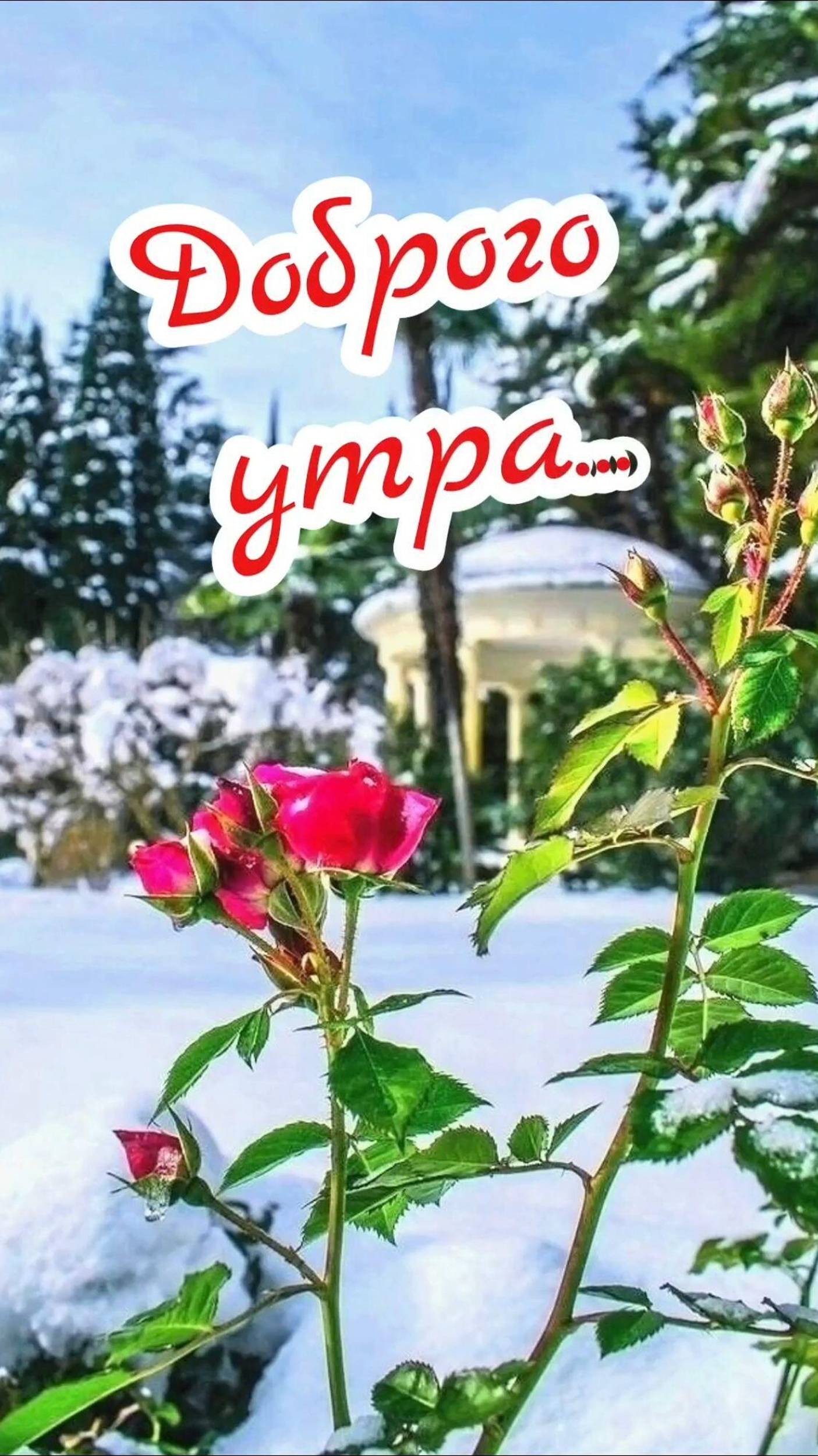 ❄️ С зимним добрым утром!