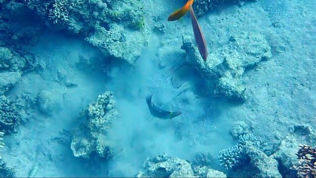 3.Мелиа Синай, ч.3