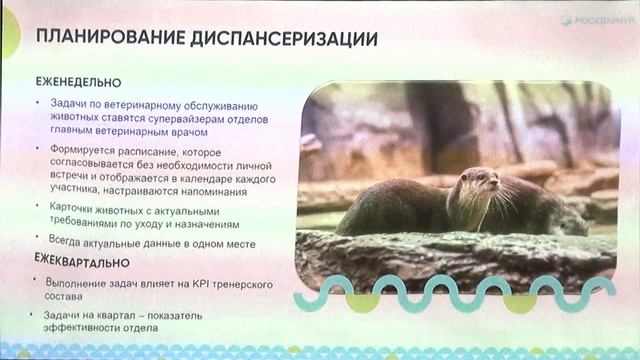 Цифровизация отчетности в тренерской работе
Колосова Алиса Евгеньевна
Центр океанографии и морской