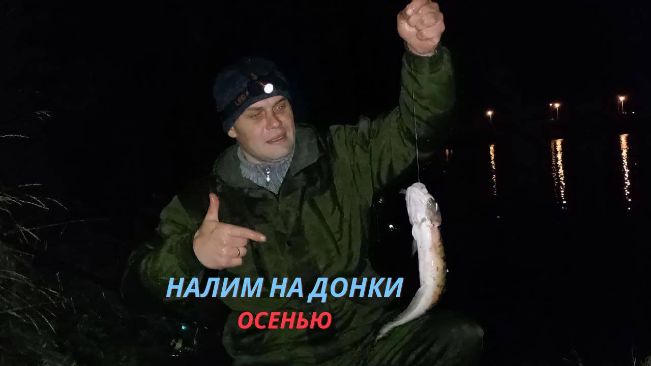 Налим на донки осенью + Клыкастый бонус.