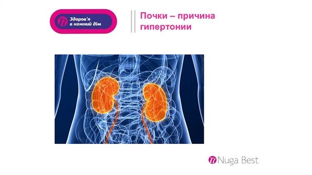 Турманиевая накидка МНР100. Гипертония. Доктор Голод.