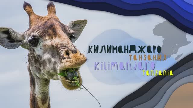 Килиманджаро | Танзания | Африка