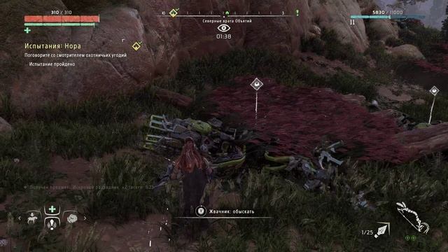 Horizon Zero Dawn. Remastered №010 ОХОТНИЧЬИ УГОДЬЯ У НОРА