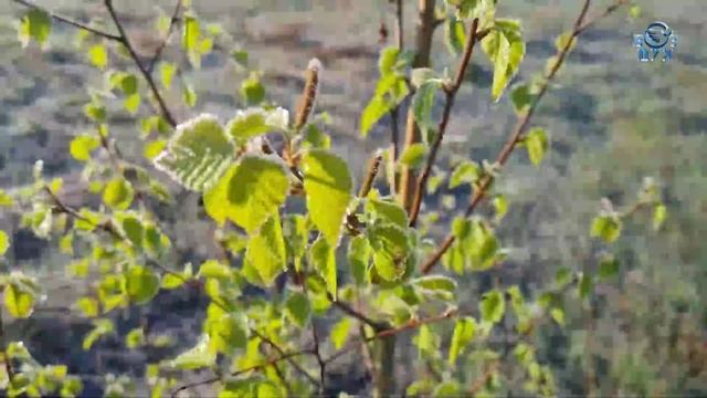 Привычка осуждения | Практика | Татьяна Бекаревич