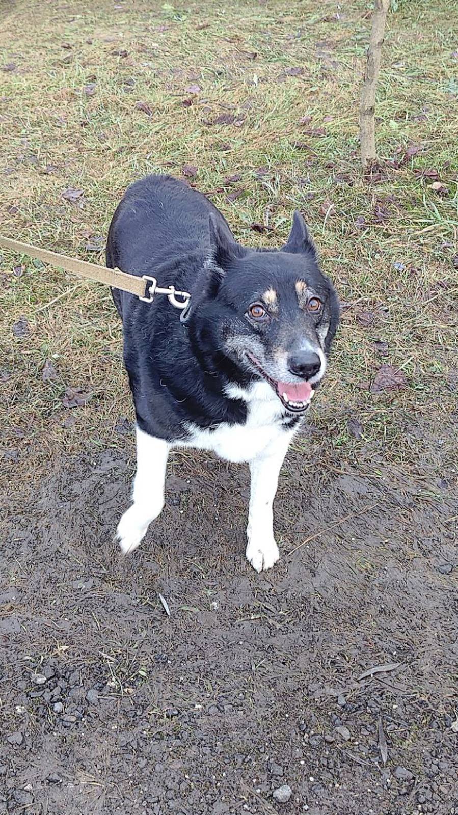 Бима ждёт МамПап!