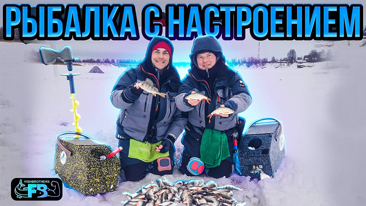 Отлично половили на мормышку! Вазузское водохранилище, окуни и плотва!