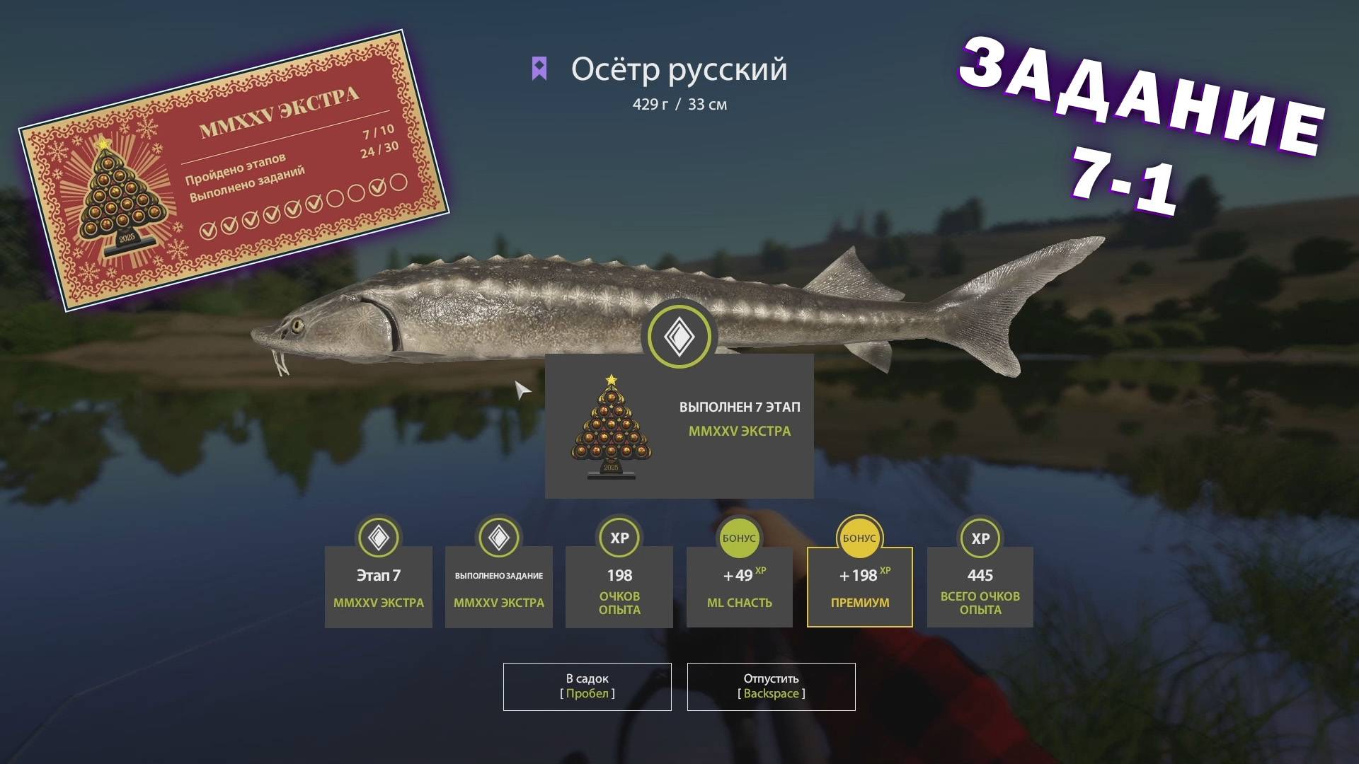 РР4 | Новогодние задания (экстра) | Этап 7 (задание 1) | Сура