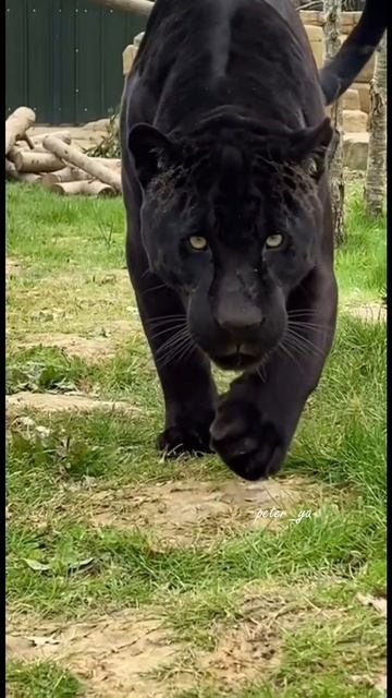 Людям не всегда нужны