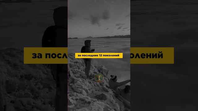 Родовая система - неиссякаемый источник ресурсов, которым ты не пользуешься..