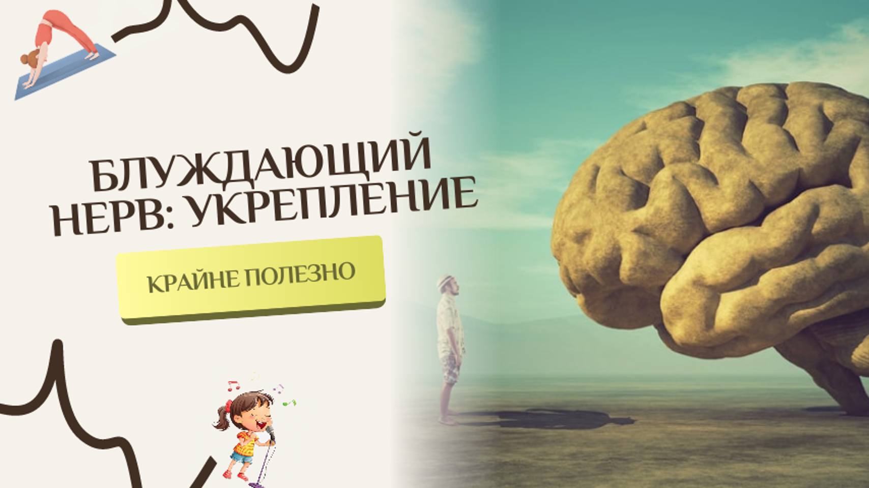 Блуждающий нерв: что это такое и зачем его тренировать?