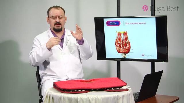 Турманиевая накидка МНР100. Щитовидная железа. Доктор Голод.