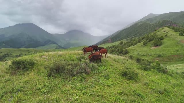 Экскурсия по горам Тянь-Шаня. Кызыл-Белес. Кыргызстан 🇰🇬 
Гид Юрий Антропкин