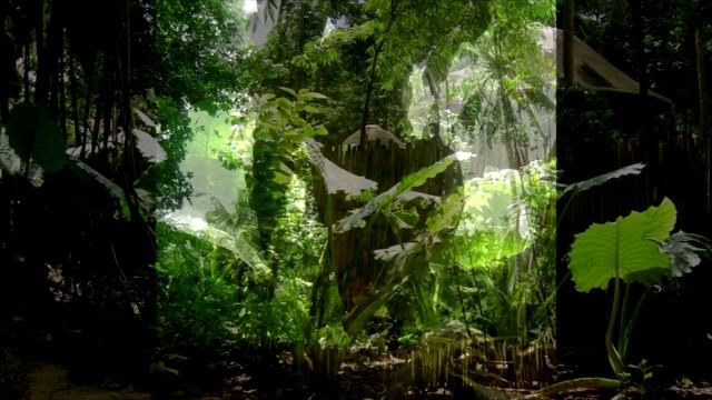 ШАМПУСИК ТАЙ 2011