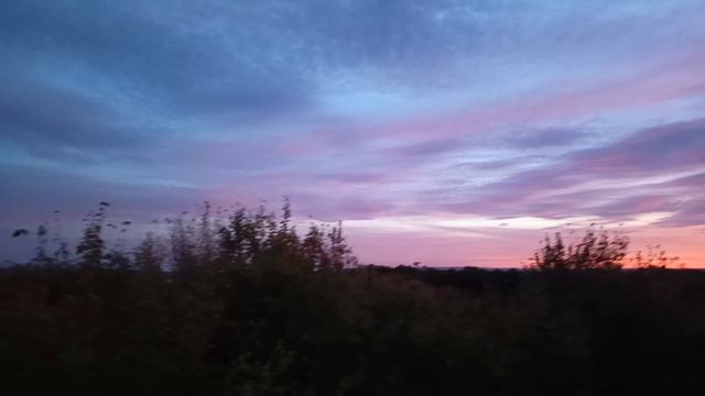 Розовый закат над заповедником!