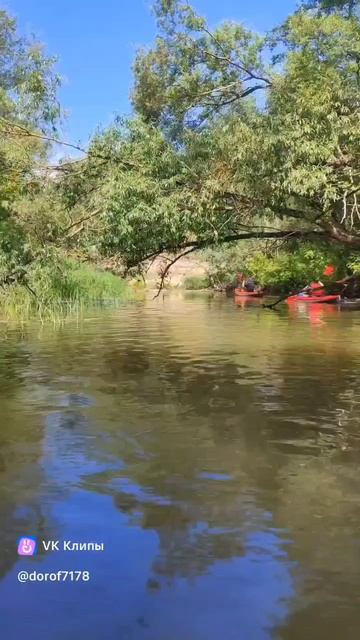 Снежеть сплав / Стапель д. Мылинка / Маленькая лесная речка #сплав #байдарка #снежеть #водники #река