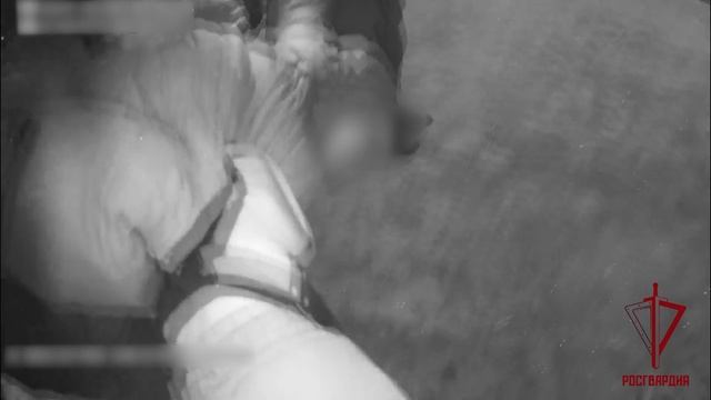 Выпуск программы "Правопорядок" от 17.02.2025