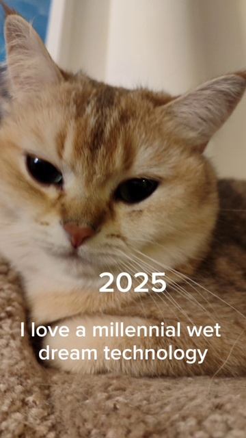 Коржик 2025 vs Коржик 2022 (с текстом песни)