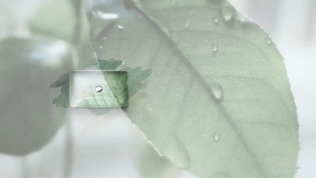 Ceramica Catalano Green Collection