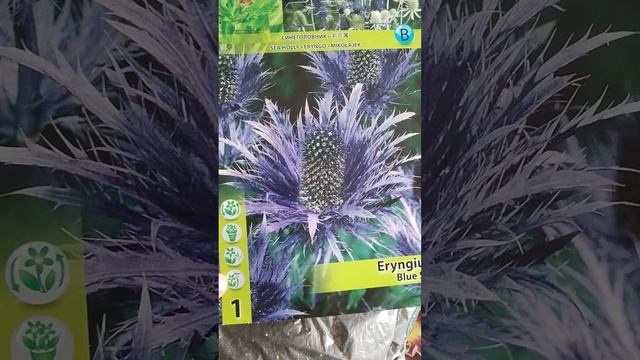 Сезон садовых покупок 2025 продолжается. Легко начать, невозможно закончить