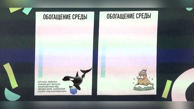Планировщики животных для оценки эффективности работы тренерского состава
Киреева Наталья Юрьевна
Це