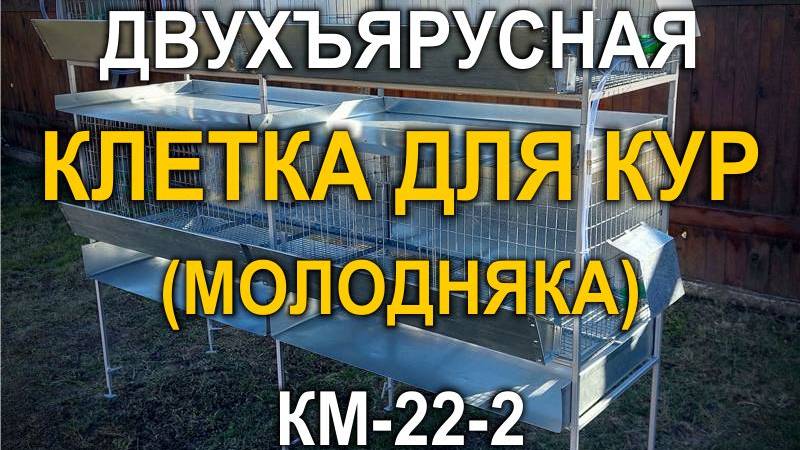 Двухъярусная клетка цельнометаллическая для молодняка кур или бройлеров КМ-22-2 (Кривой Рог, 1303M)