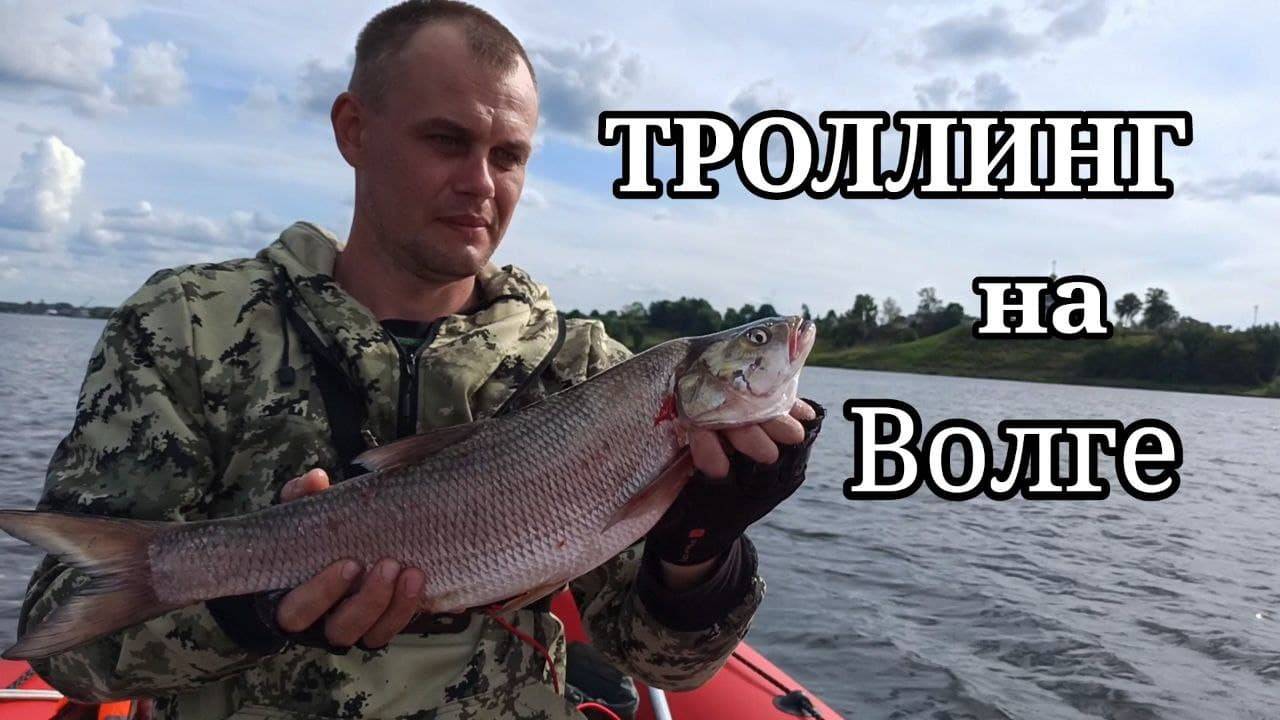 Жерех на троллинг | Рыбалка на Волге