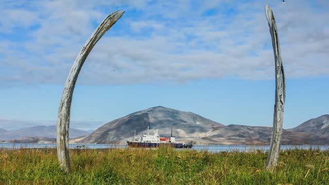 Чукотка: остров Врангеля | 2016