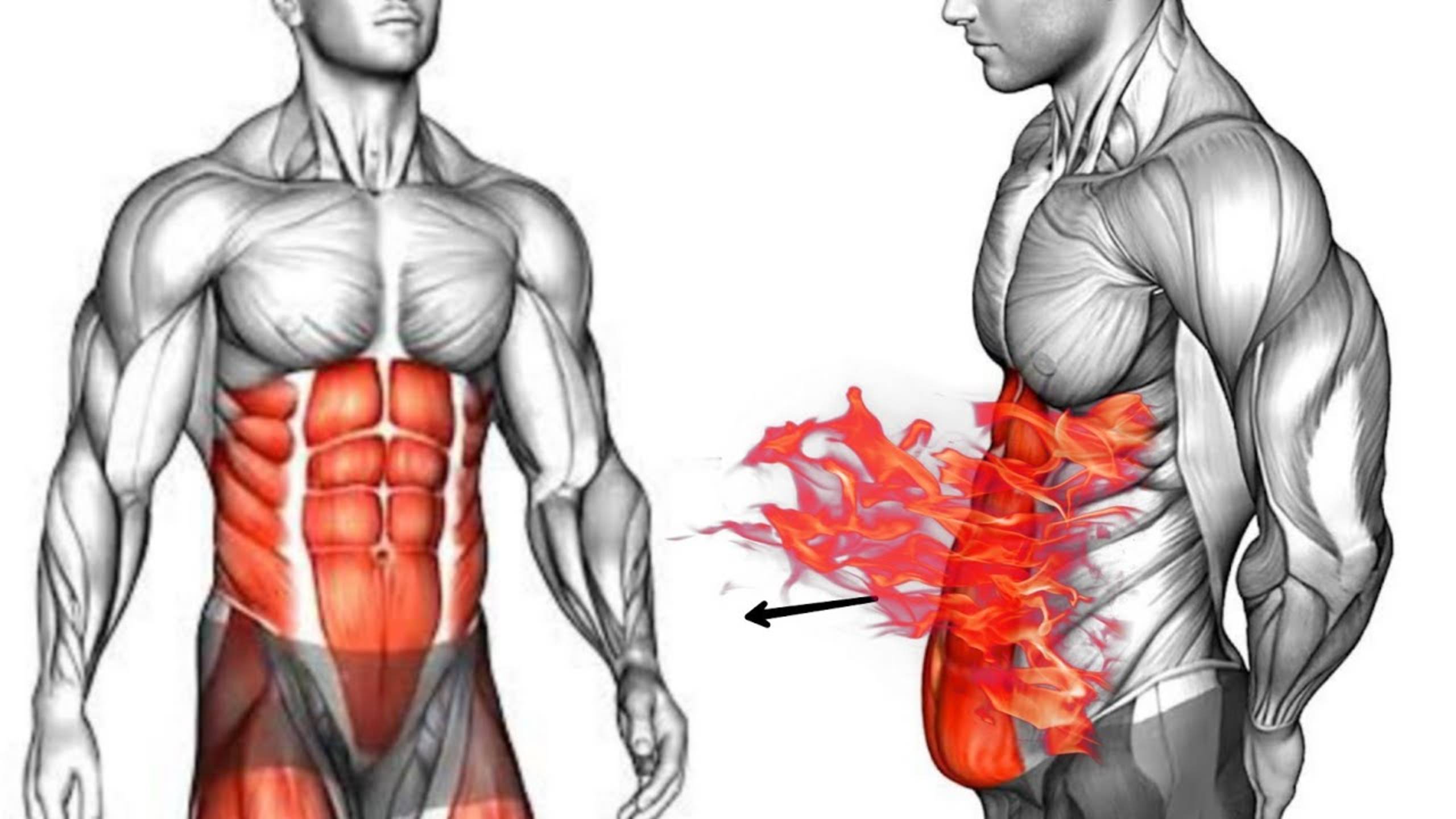 Метод ВИИТ для сжигания жира и сохранения мышечной массы: 17 минут для подготовленных людей