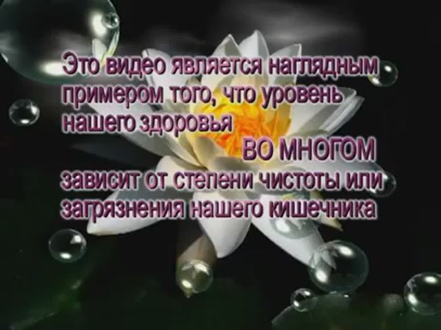 Видео толстой кишки изнутри