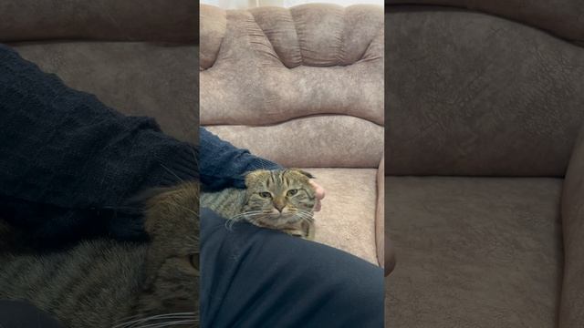 Александр Жирнов | Спецпроект о героях Группы «Россети»