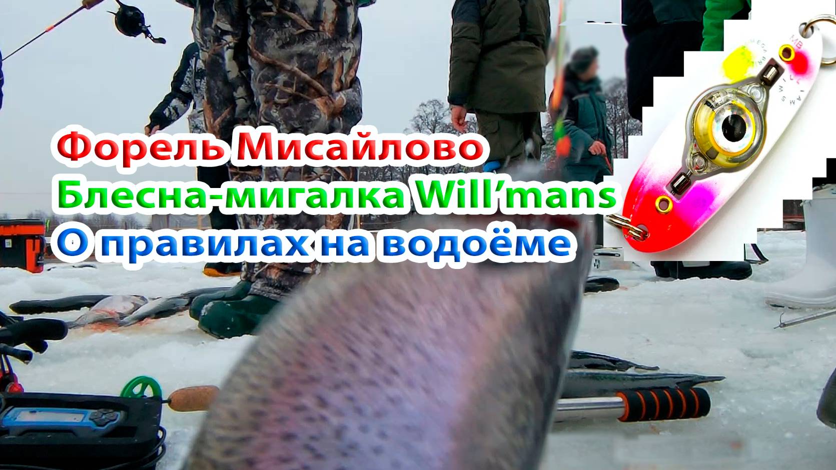 Мисайлово форель. Мигающая блесна Willmans сделала рыбалку.